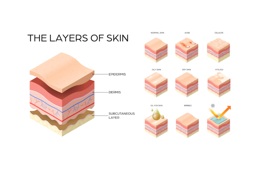 What is a Skin Structure? – DFA Clinic