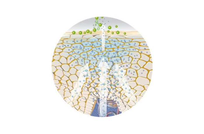 What is a Skin Structure? – DFA Clinic