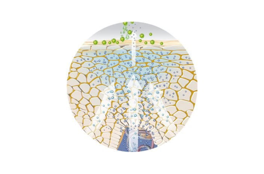 What is a Skin Structure? – DFA Medica International